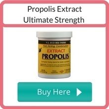 Propolis - a natural remedy for Candida - Beat Candida
